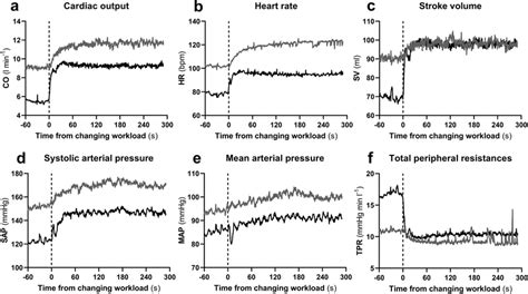 Time Course Of The Cardiac Output Co Heart Rate Hr Stroke Volume