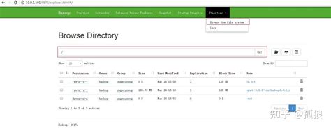 Hdfs Shell的基本操作以及hdfsweb查看文件 知乎