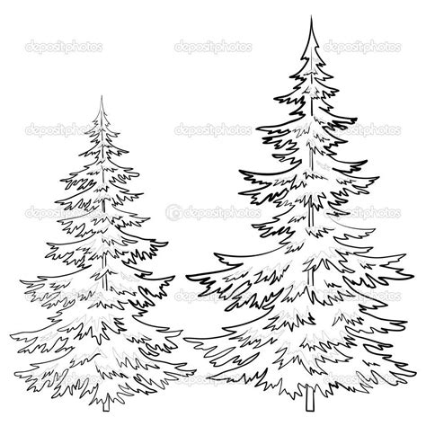Pine Tree Line Drawing At Getdrawings Free Download