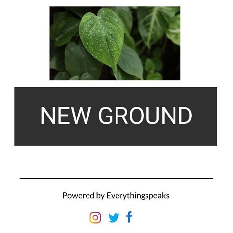 Weak Signal Weak Signal Added A New Photo