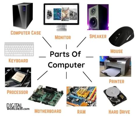 Complete Input And Output Devices Of Computer With Examples