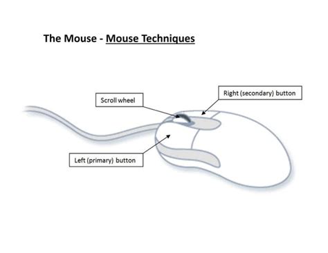 Input Output Devices Input Devices Types Of Input Devices PDF Input Output Devices Input Devices Types Of Input Devices PDF