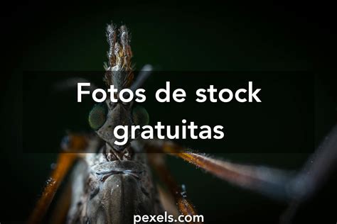 31 491 Fotos Y Imágenes De Salesforce Vector Images Gratis · Banco De Fotos Gratis