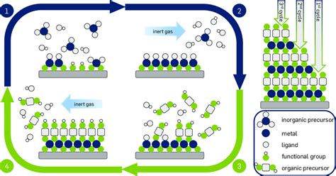6 Simpliied Scheme Of A Typical Aldmld Cycle First Half Ald Cycle In