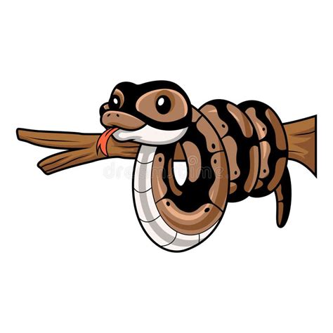Cute Ball Python Snake Cartoon On Tree Branch Stock Vector