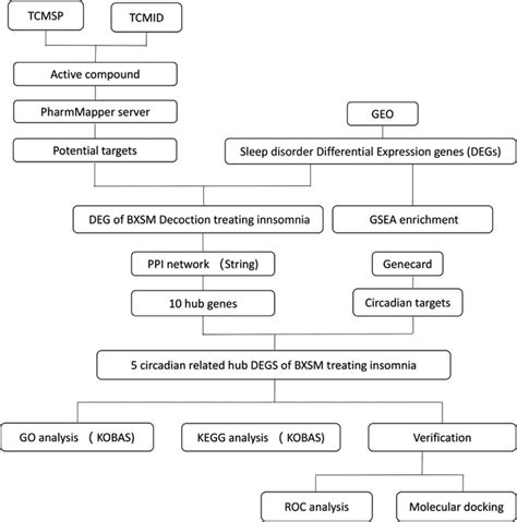 Flowchart Of The Research Process Download Scientific Diagram