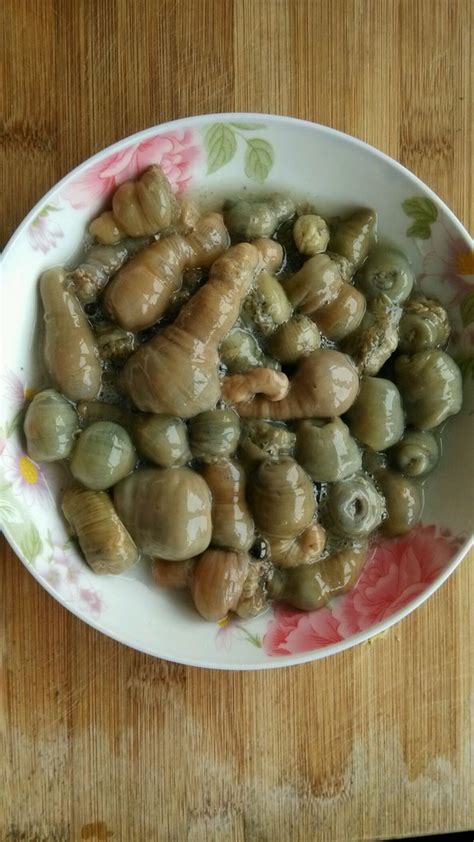 海葵怎么吃 海葵能吃吗 红海葵 第2页 大山谷图库