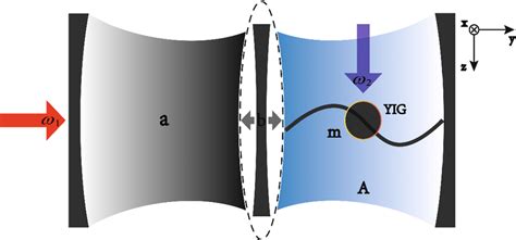 Sketch Of The System A Yig Sphere Is Placed Inside An Auxiliary Download Scientific Diagram