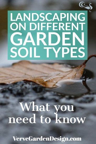Garden Soil Basics Part Artofit