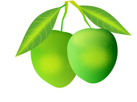 Clipart Leaves Mango Tree Clipart Leaves Mango Tree Transparent FREE