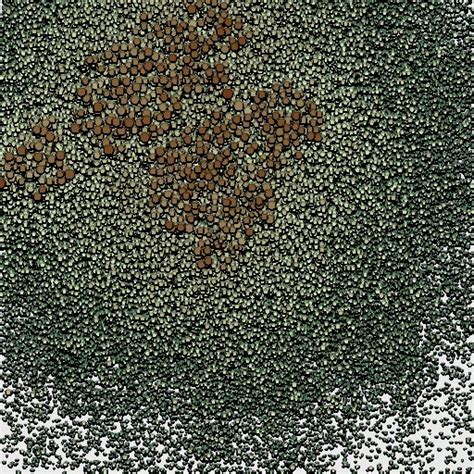 Exploiting Temporal Coherence In Forest Dynamics Simulation