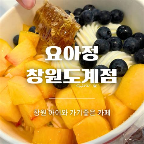 요거트 아이스크림의 정석 요아정 창원도계점 네이버 블로그
