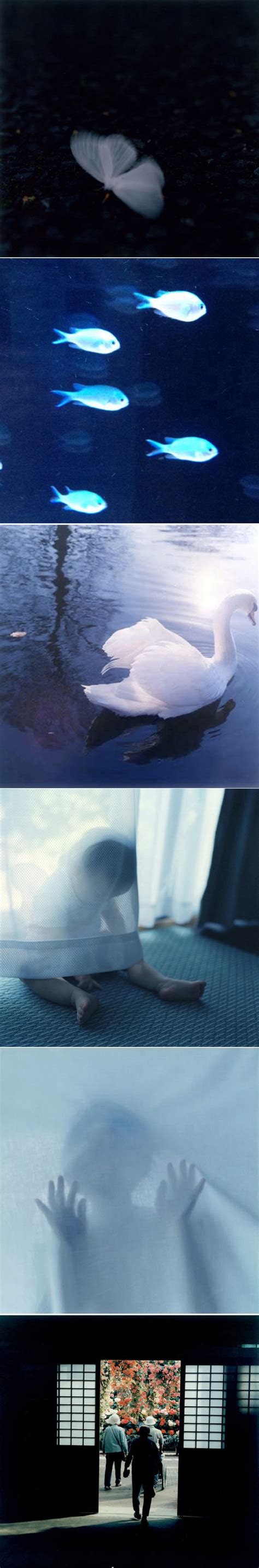川内伦子（rinko Kawauchi） 作品