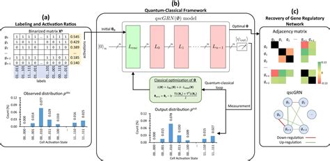 Researchers Use Quantum Computing To Predict Gene Relationships R