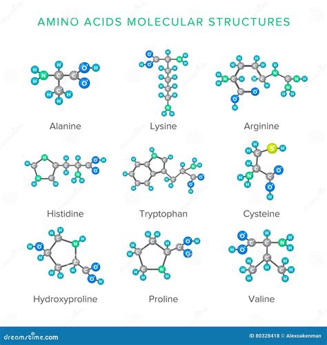 Molecular Structures Of Common Chemical Substances Vector Illustration