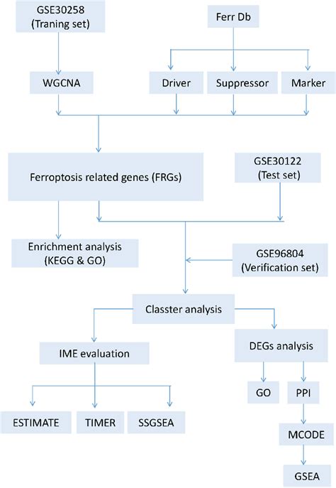 Flow Chart Of Data Preparation Processing And Analysis Download