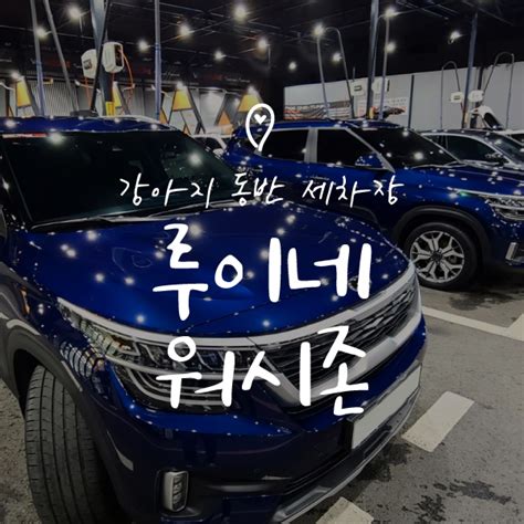 최소한의 용품으로 쉽고 간단한 셀프세차방법 여자 혼자 세차 수원세차장추천 루이네워시존 애견동반 네이버 블로그