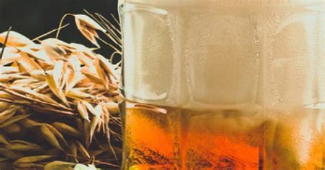 당신의 눈동자에 건배 지상의 식물과 지극히 작은 미생물그 향기로운 협력