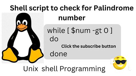 Shell Script To Check If A Number Is Palindrome Bash Script Youtube