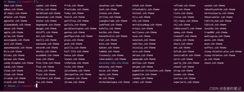 ubuntu版本安装zsh、配置ohmyzsh及插件、主题更换 ubuntu ohmyzsh csdn博客