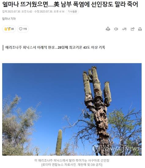 미국 폭염 근황 유머 움짤 이슈 에펨코리아