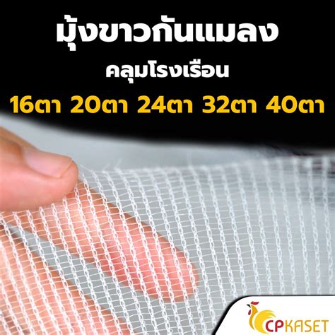 มุ้งขาวกันแมลง มุ้งโรงเรือน ตาข่ายกันแมลง 15ตา 40ตา หน้ากว้าง 1 20 6 เมตร ตัดแบ่งขายเป็นเมตร
