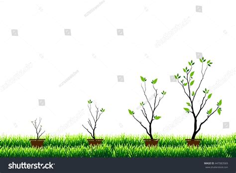 Tree Life Cycle Stock Vector Royalty Free Shutterstock