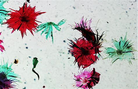 Micro Graph Background Images Hd Pictures And Wallpaper For Free