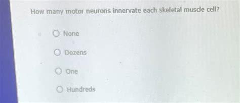 Solved How Many Motor Neurons Innervate Each Skeletal Musde