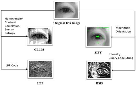 Inventions Free Full Text Iris Liveness Detection For Biometric