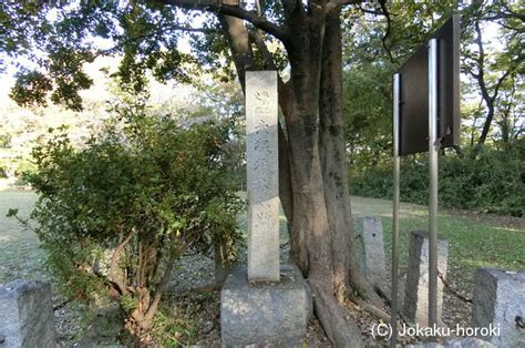 武蔵 赤塚城の写真集 城郭放浪記