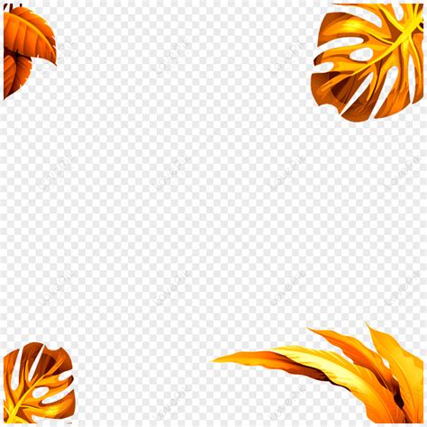 금색 열대 식물 일러스트 기하학의 테두리금빛요약 Png 일러스트 무료 다운로드 Lovepik
