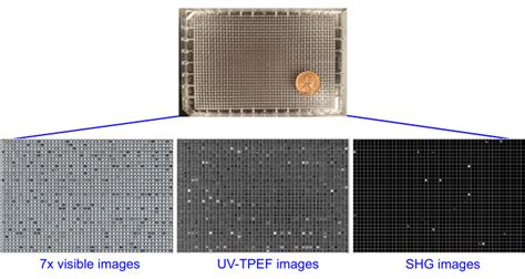 High Throughput Screening To Obtain Crystal Hits For Protein