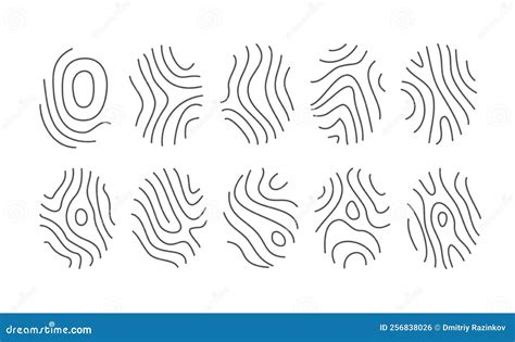 Touch Id Icon And Digital Privacy Isolated Vector Illustration Fingerprint Vector Set Stock