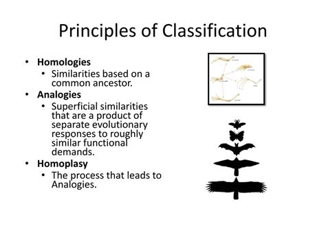 Ppt Intraspecific Variation Powerpoint Presentation Free Download Id 3099915