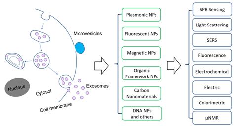 Overview Of The Application Of Nanomaterials And Detection Methods For Download Scientific