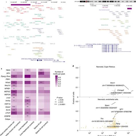 Determining Cell Type Specificity Of Distal Enhancers Using Rna Seq And Download Scientific