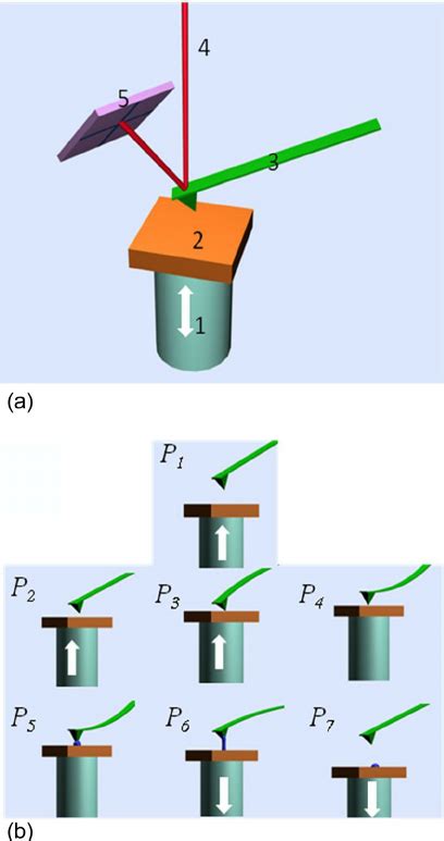 A A Schematic Afm System For Fmdpn 1 Piezo Tube 2 Substrate