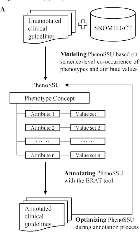 Figure 1 From Constructing High Fidelity Phenotype Knowledge Graphs For