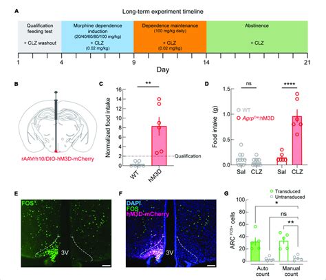 Long Term Manipulation Experimental Design Qualification And Download Scientific Diagram
