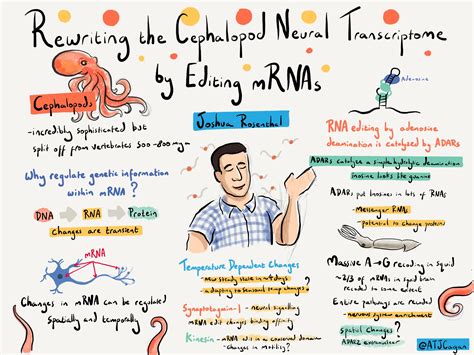 Visualizing Science Cartoonist Illustrates Talk By Mbl Scientist Marine Biological Laboratory