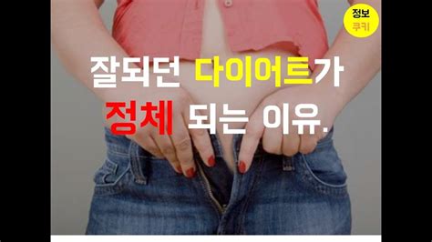 다이어트꿀팁 다이어트 슬럼프 다이어트 정체기 극복하기 Youtube
