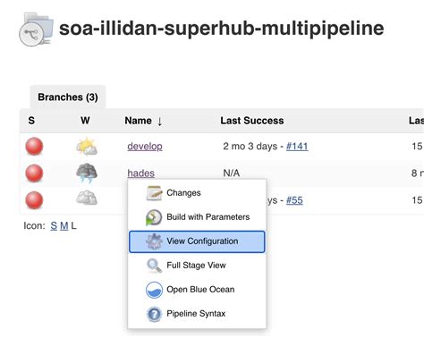 Java Why The Jenkins Did Not Checkout The Source Code In Multibranch