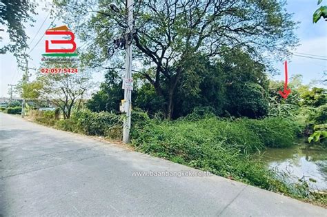 ที่ดินเปล่า บ้านงิ้วซอย15 ซ สวนมะม่วง เนื้อที่ 103 ตรว ถนนติวานนท์ ตำบลบ้านงิ้ว อำเภอสามโคก