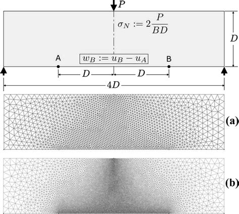 Geometry Of The Specimen And Fe Meshes Used In The Simulations Download Scientific Diagram