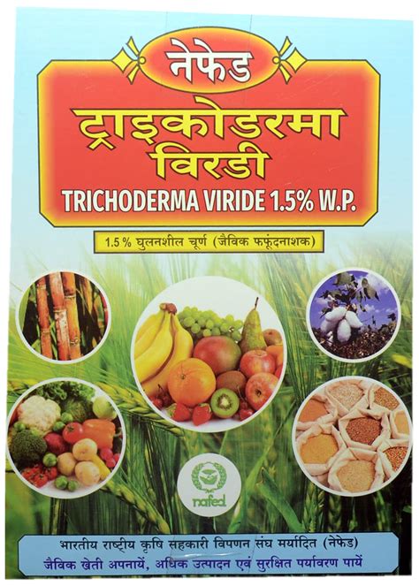 Trichoderma Promoting Plant Health And Preventing Diseases