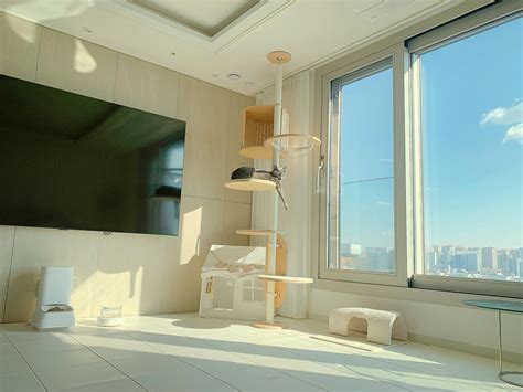 뇽하우스 인테리어•고양이•일상 흠냐썬탠하는 중에 잠들면 안대는데😴 Instagram