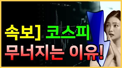 코스피 주식 급락 이유 Youtube