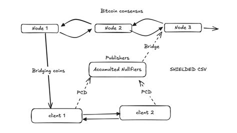 My Thoughts On The Shielded Client Side Validation Protocol