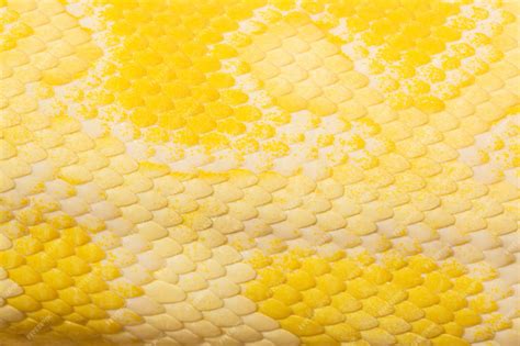 Premium Photo Golden Python Scale Textureclose Up View Of Golden